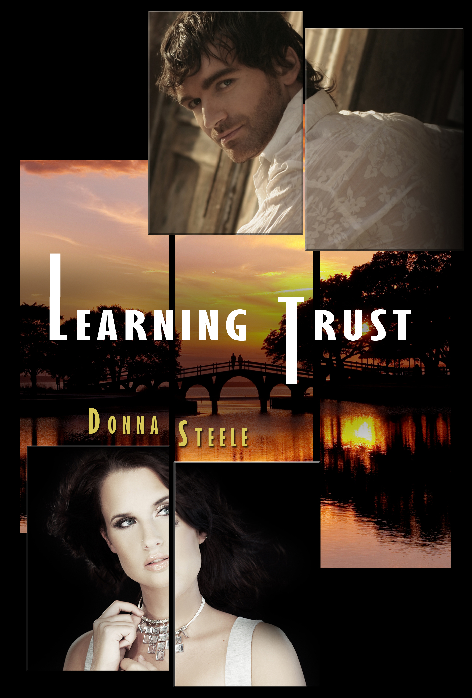 LearningTrust cover | Steelestories